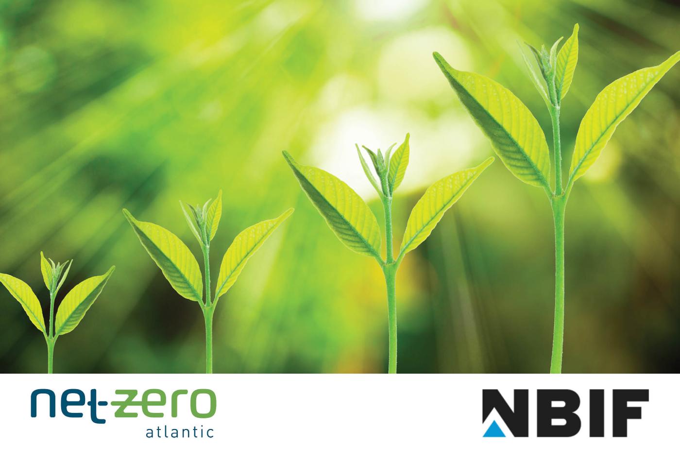 Net Zero Emerging Concepts and Technologies (ECT-NB) Research Program - New Brunswick | Net Zero ...